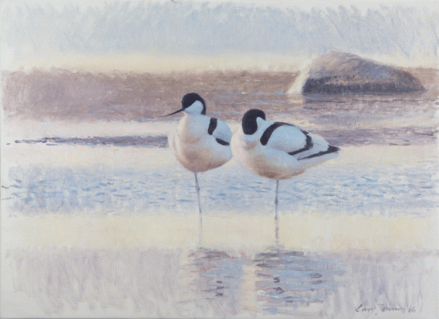 Olja-arkiv - Lars Jonsson