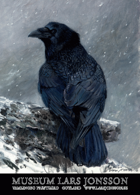 Affischer-arkiv - Lars Jonsson