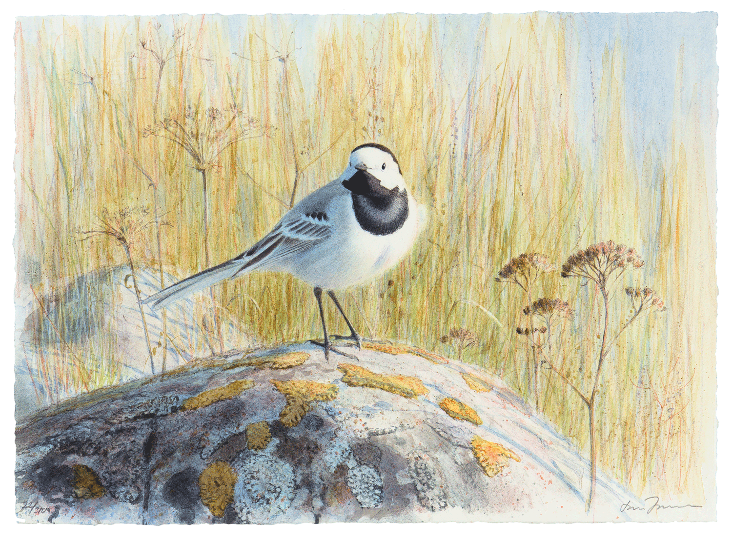 Litografier-arkiv - Lars Jonsson